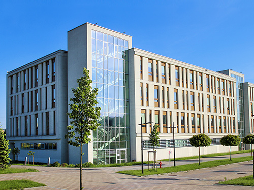 Ballsbridge University